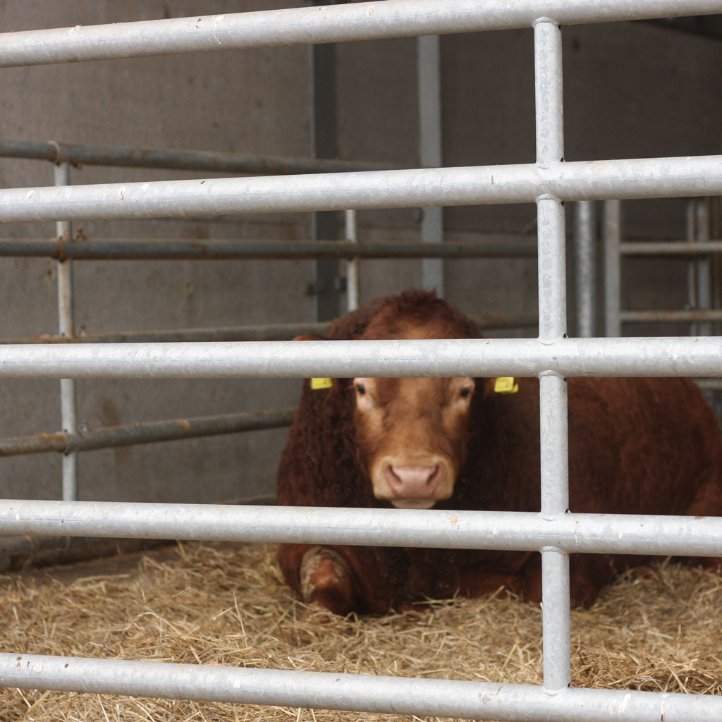 Cattle Products - Panels – FarmFit